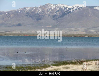 Wilson Reservoir, located in the BLM Elko District of Nevada, offers ...