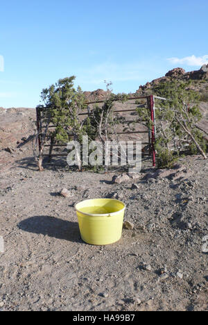 The Seaman Herd Area Emergency Gather operation was carried out to ...