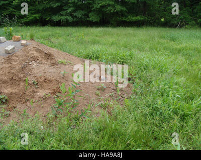 A wood turtle artificial nest mound was established at Great Swamp ...
