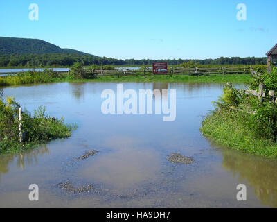 Flooding at Wallkill River National Wildlife Refuge is documented ...
