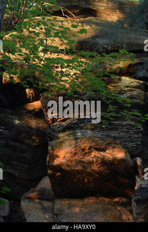 This image presents a landscape within a National Park, highlighting ...