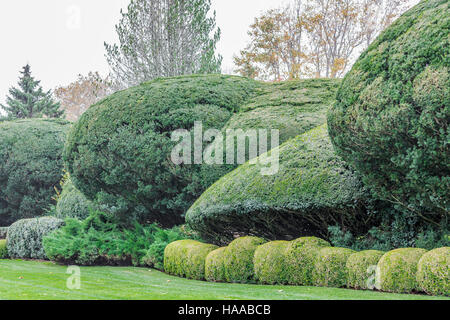 expertly cut and shaped hedges and bushes in a prized landscaped yard ...