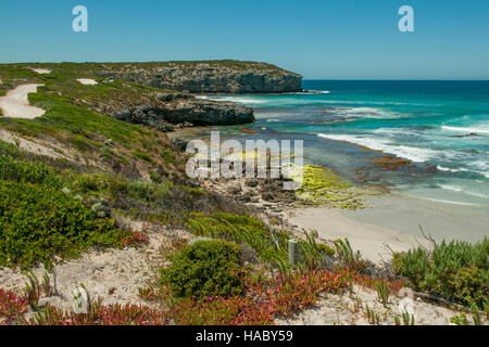 Pennington Bay, Kangaroo Island, South Australia Stock Photo - Alamy