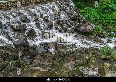 Forest stream running over mossy rocks Stock Photo - Alamy