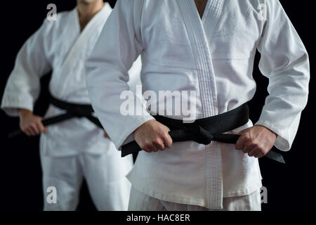 Two karate fighters performing karate stance Stock Photo - Alamy