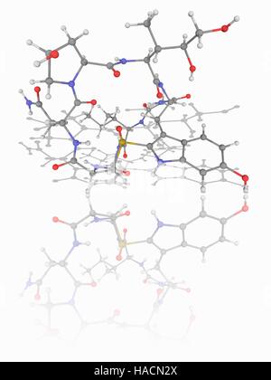 Alpha-Amanitin toxin molecule Stock Photo: 47683541 - Alamy