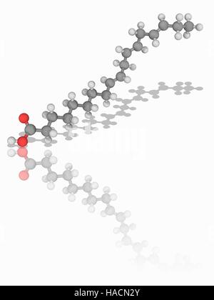 Omega-3 unsaturated fatty acid (alpha-linolenic acid), molecular Stock ...