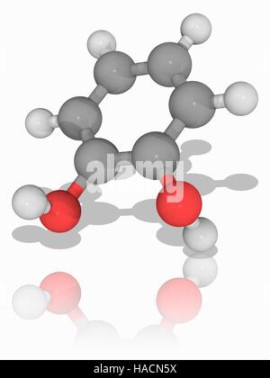 Catechol. Molecular model of the aromatic organic compound catechol (C6 ...