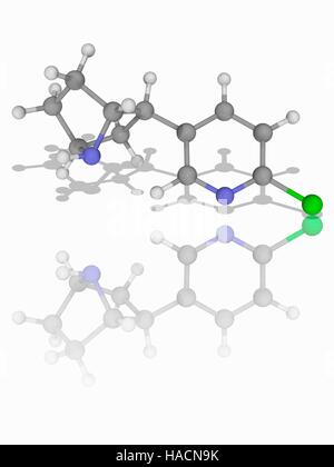 Epibatidine. Molecular model of the poisonous alkaloid epibatidine (C11 ...