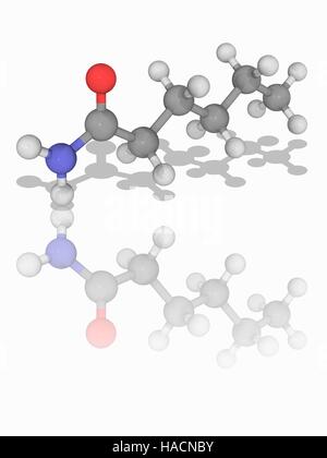 Hexanamide. Molecular model of the organic compound and amide ...