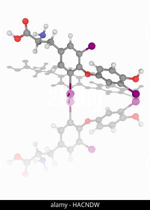 Chemical structure of a triiodothyronine (T3) molecule, thyroid Stock ...