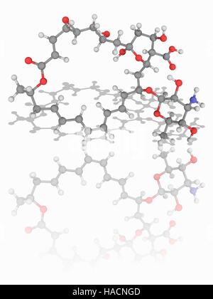 Natamycin. Molecular model of the chemical natamycin (C33.H47.N.O13 ...