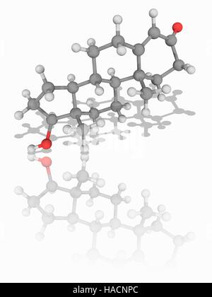 Testosterone. Molecular model of the steroid hormone testosterone (C19 ...