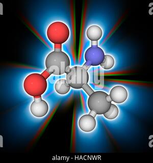 L-(+) alanine molecule, ball and stick molecular model. The L ...