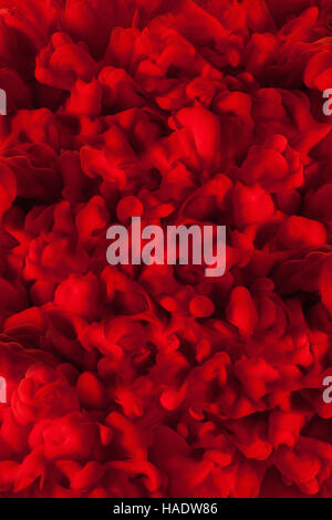 red explosion paint Stock Photo - Alamy