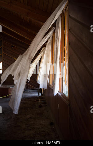 old ripped white curtains Stock Photo - Alamy