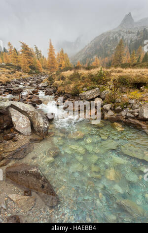 Fall mountain stream Stock Photo - Alamy