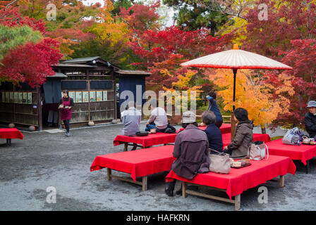A traditional Japanese tea garden and house, chashitsu, near Tokyo in ...