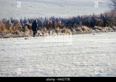 A dog walker on a frosty morning in Bushy Park, London. Temperatures ...