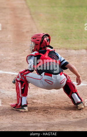 Young baseball boy catching behind home plate Stock Photo - Alamy