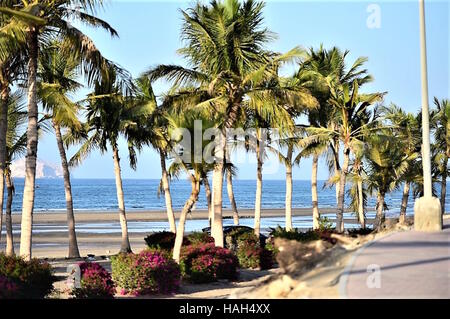 Along the coast in Muscat, Oman Stock Photo - Alamy