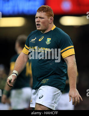 Steven Kitshoff, South Africa Stock Photo - Alamy