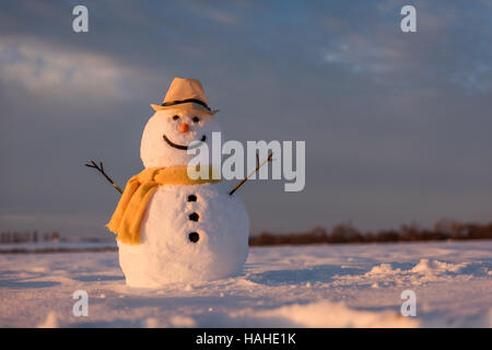 snowman on blue sky background . Snowman wish you merry Christmas ...