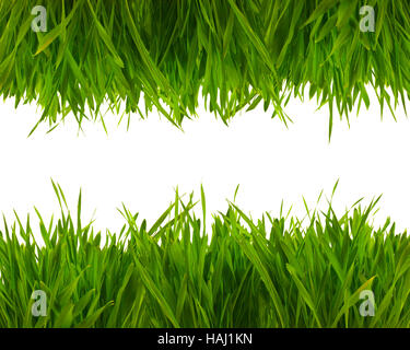 background of fresh lawn in the spring season Stock Photo - Alamy