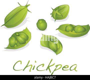uncooked chickpeas vector on white background Stock Vector Image & Art ...
