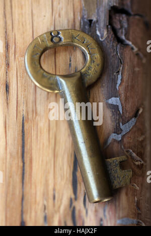 Old brass key on rustic wood. Close up view in horizontal format Stock ...