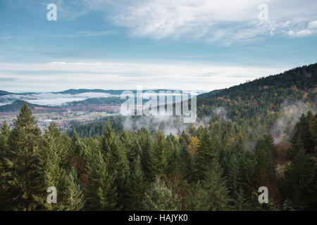 Thurston Hills Natural Area in Springfield Oregon offers great views ...