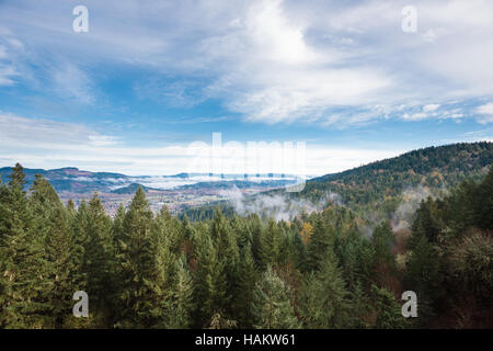 Thurston Hills Natural Area in Springfield Oregon offers great views ...