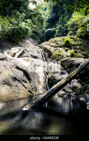 Waterfall at the rainforest of Sarawak, Borneo, Malaysia. Water falls ...