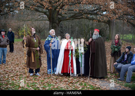 Druids blessing of the mistletoe ceremony at Tenbury Wells ...