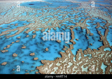 Luftaufnahme, Riffe und Atolle des Great Barrier Reef, Queensland ...
