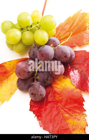 vine leaves and grapes Stock Photo - Alamy