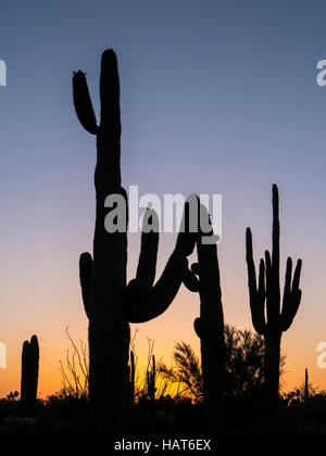USA, Arizona, Apache Junction, Silhouette of Superstition Mountains ...