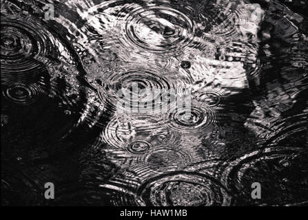 Concentric rings of ripples on a puddle Stock Photo - Alamy