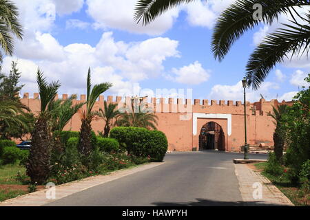 The old city wall of Marrakech and a green palm tree Stock Photo - Alamy