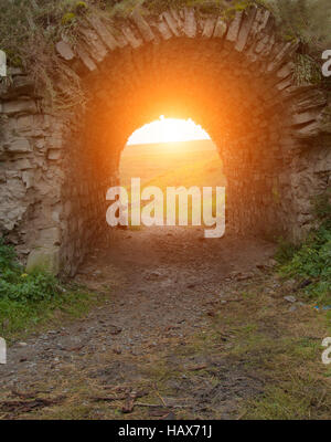 Ruined gates of cossack castle Stock Photo - Alamy