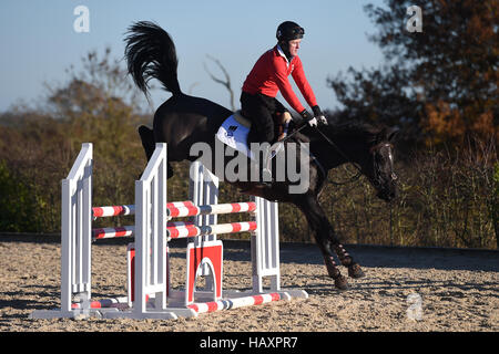 AP McCoy during a lesson in showjumping with Olympic gold medallist ...