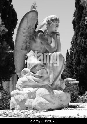 Photographic walk in the cemetery Stock Photo - Alamy