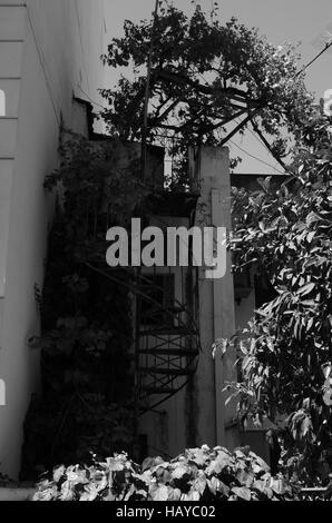 Photographic walk in the cemetery Stock Photo - Alamy