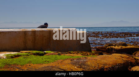 Dale Brook Pool, Kalk Bay looking across False Bay in Cape Town Stock ...
