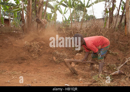 Black African women beekeeping and learning apiary craft and relating ...