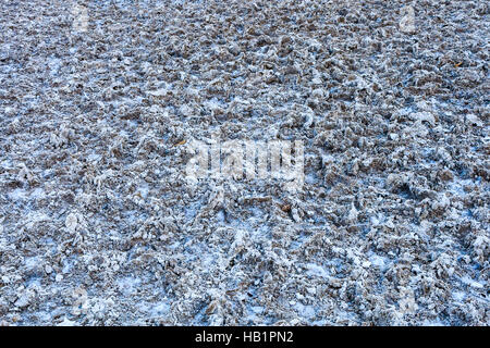 Endorheic basin in Inyo County, California, noted as the lowest point ...