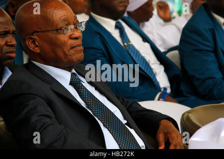 DURBAN - 4 December 2016 - Professor Caesar Nongqunga, the leader of ...