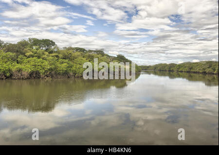 River Tempisque, by Palo Verde National Park, Guanacaste, Costa Rica ...