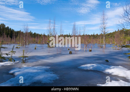 Snowy spring landscape Stock Photo - Alamy