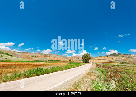 Narrow winding road warning sign for the Skull Springs Road, Pilbara ...